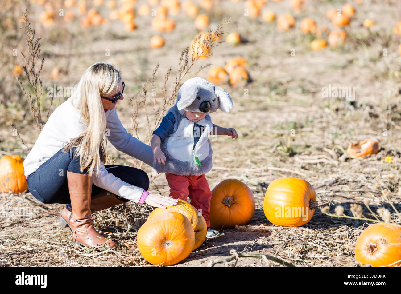 Cute kids in Halloween costumes at the pumpkin patch Stock Photo - Alamy