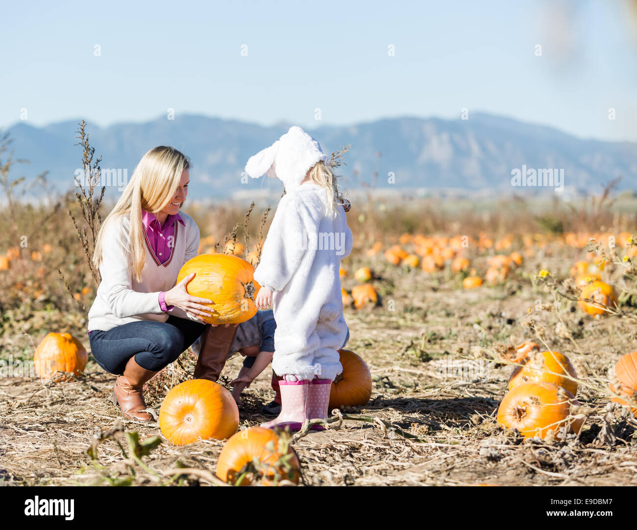 Cute kids in Halloween costumes at the pumpkin patch Stock Photo - Alamy