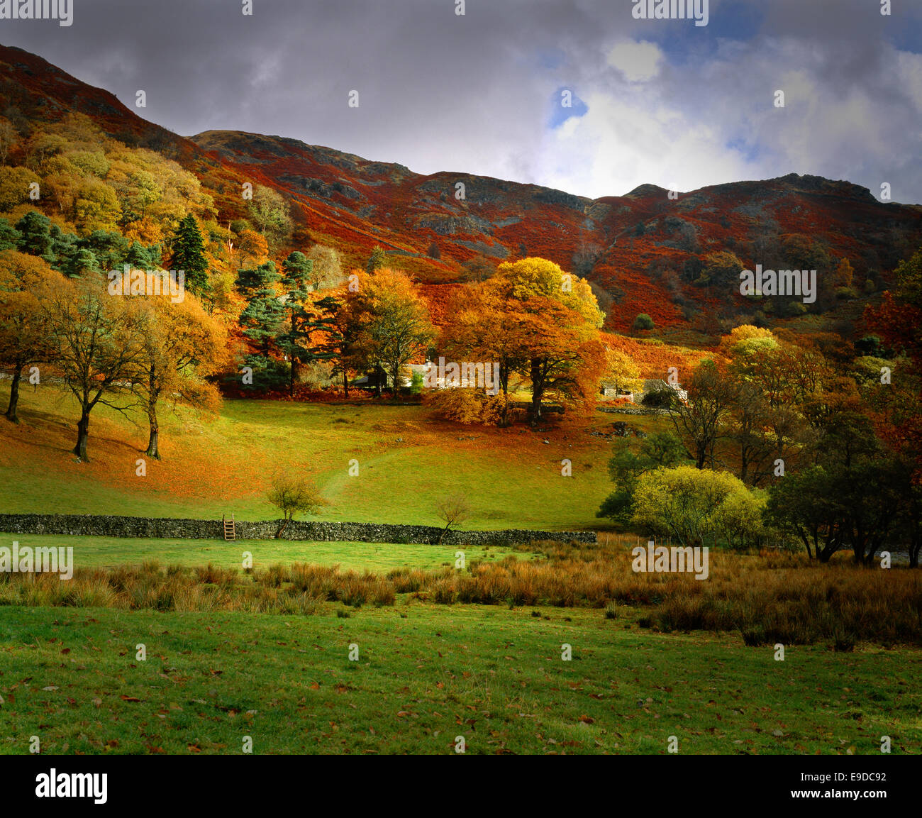 Grasmere hi-res stock photography and images - Alamy