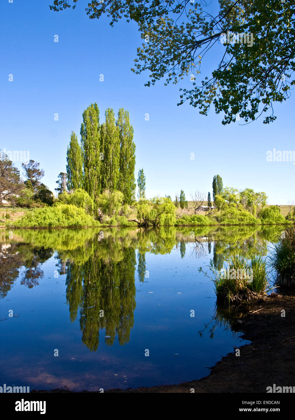 Dalgety australia hi-res stock photography and images - Alamy