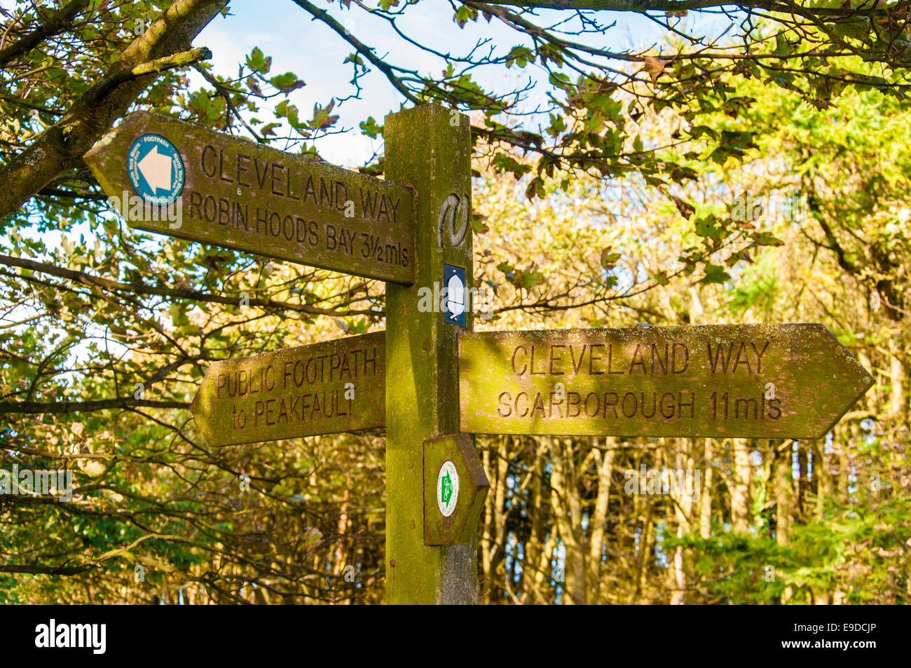 Closeup on tourist Sign posts in village of Ravenscar, UK Stock Photo ...