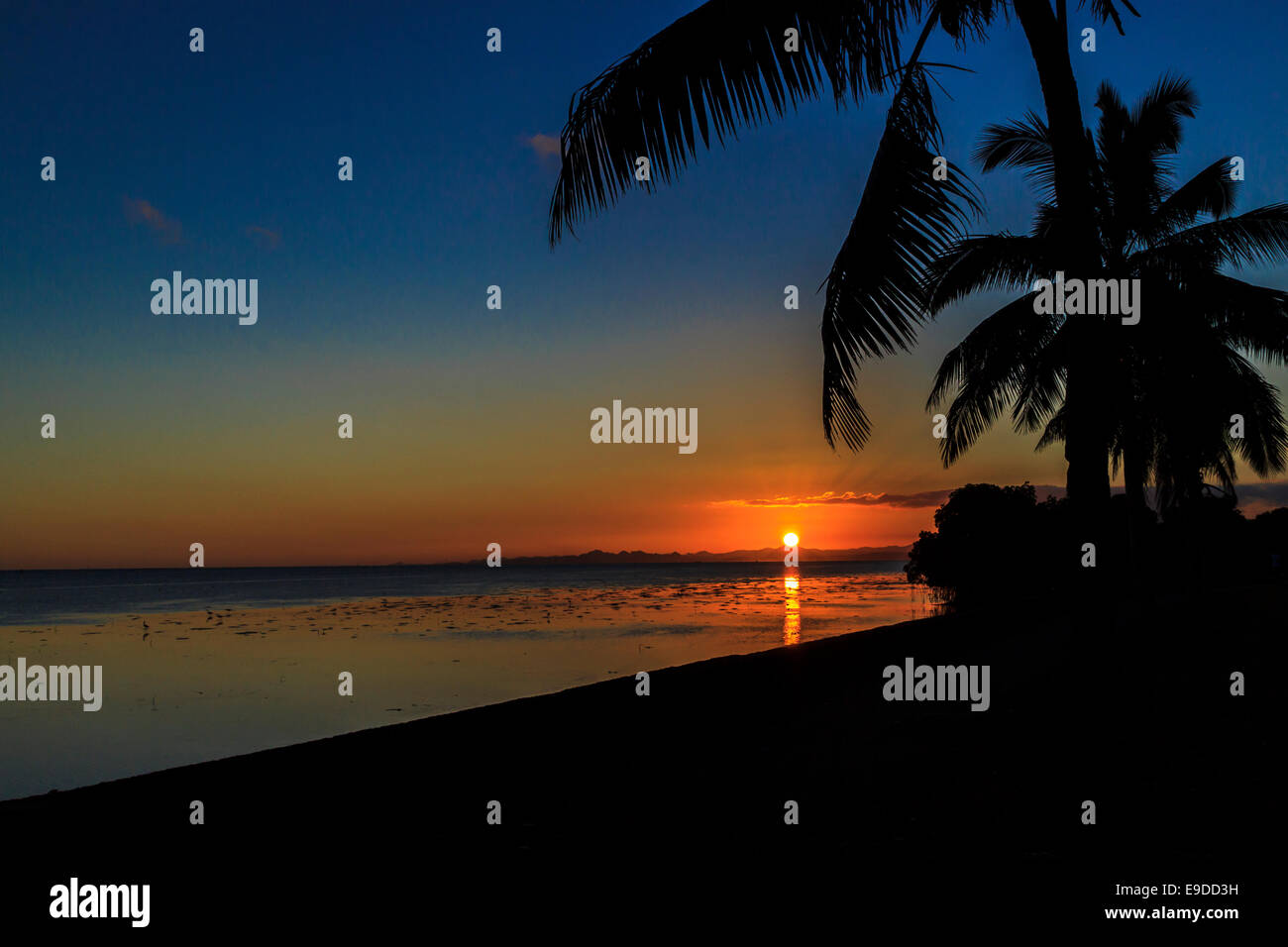 Shade golden hi-res stock photography and images - Alamy