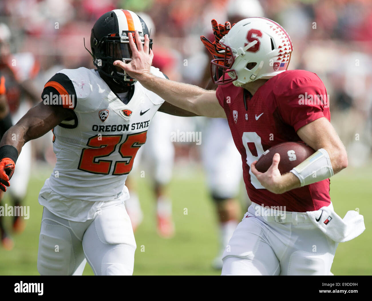 Stanford arms hi-res stock photography and images - Alamy