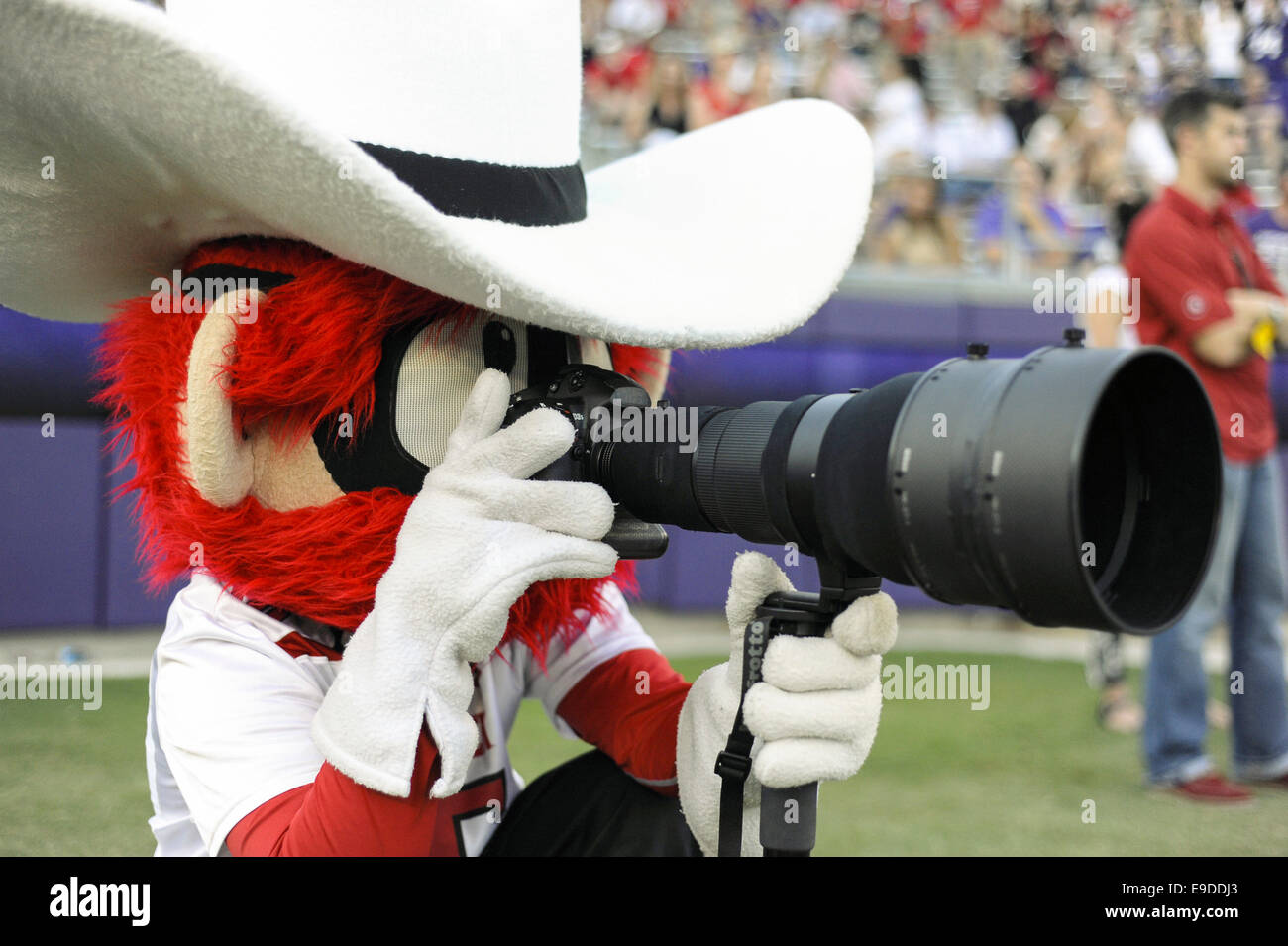 Texas Tech mascot Raider Red picks a camera to get some shots of the ...