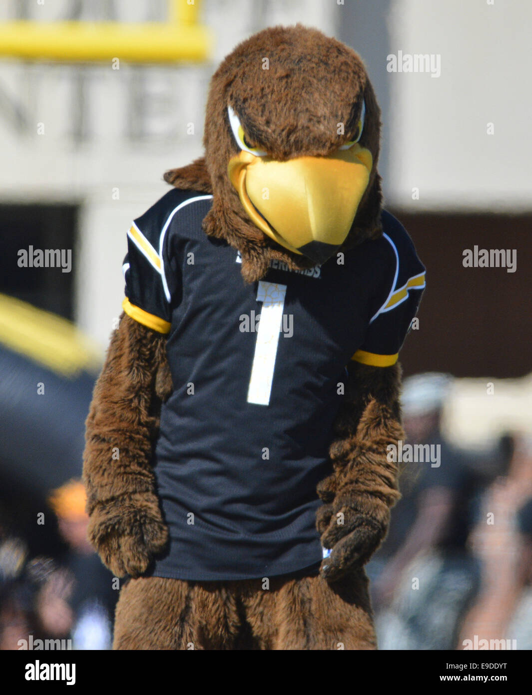 Hattiesburg MS, USA. 25th Oct, 2014. Southern Miss Golden Eagles mascot ...