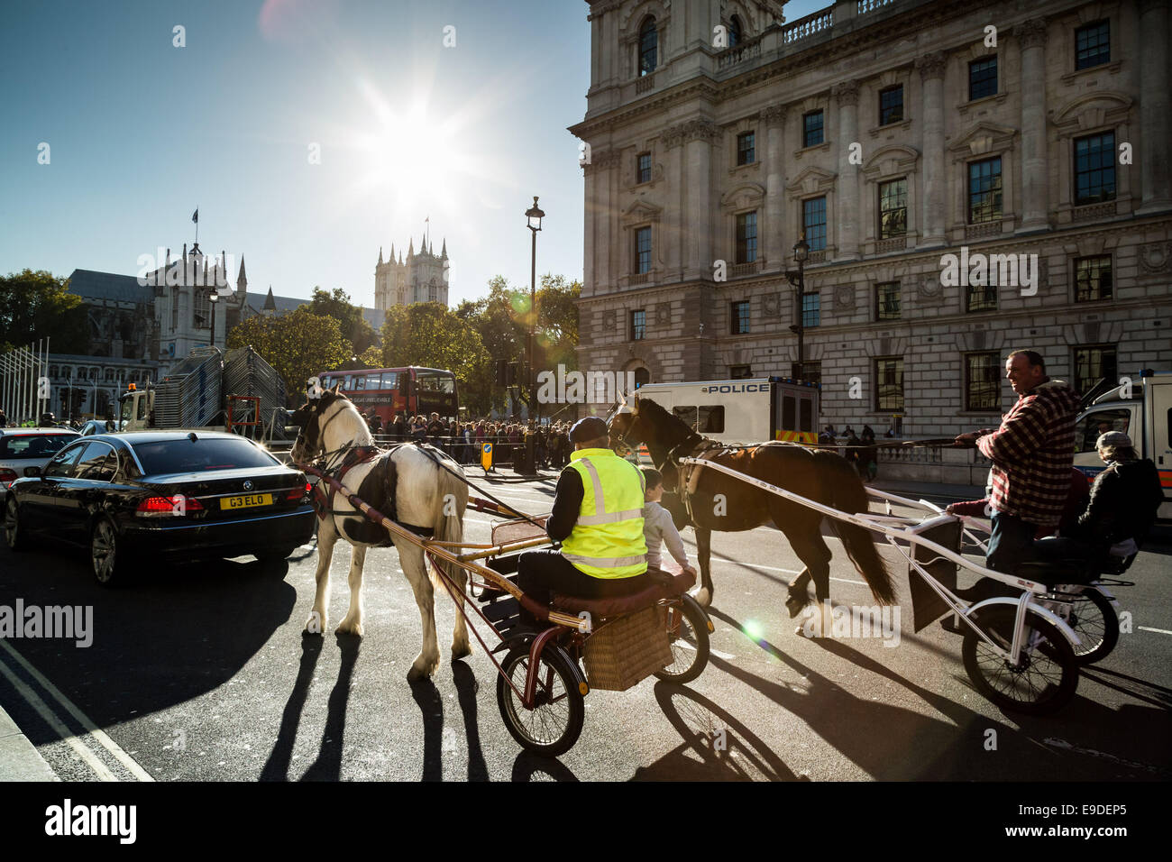 Irish traveller horse hi-res stock photography and images - Alamy