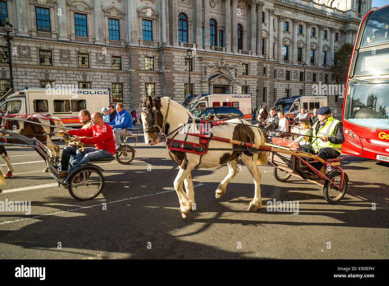 Irish traveller sulky hi-res stock photography and images - Alamy