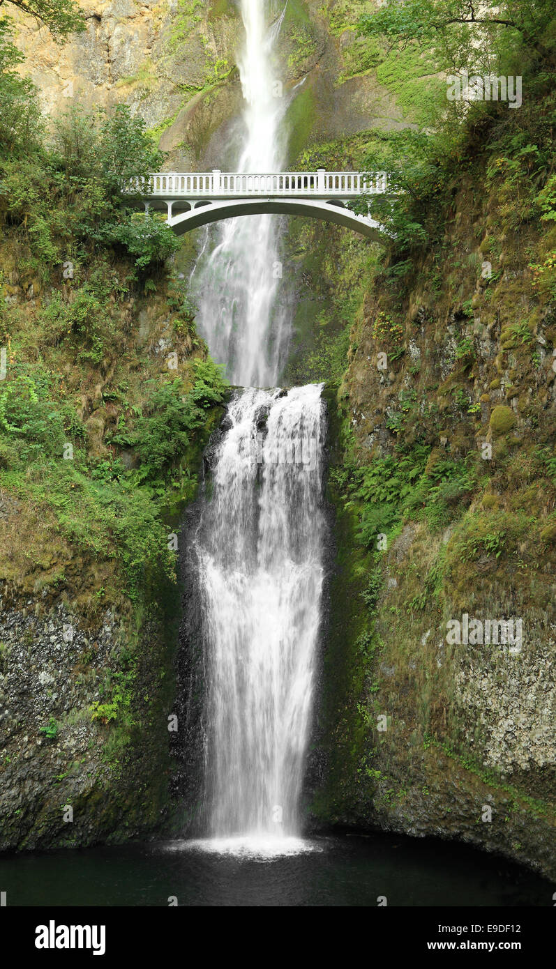 Multnomah Falls, Columbia River Gorge, Oregon Stock Photo - Alamy
