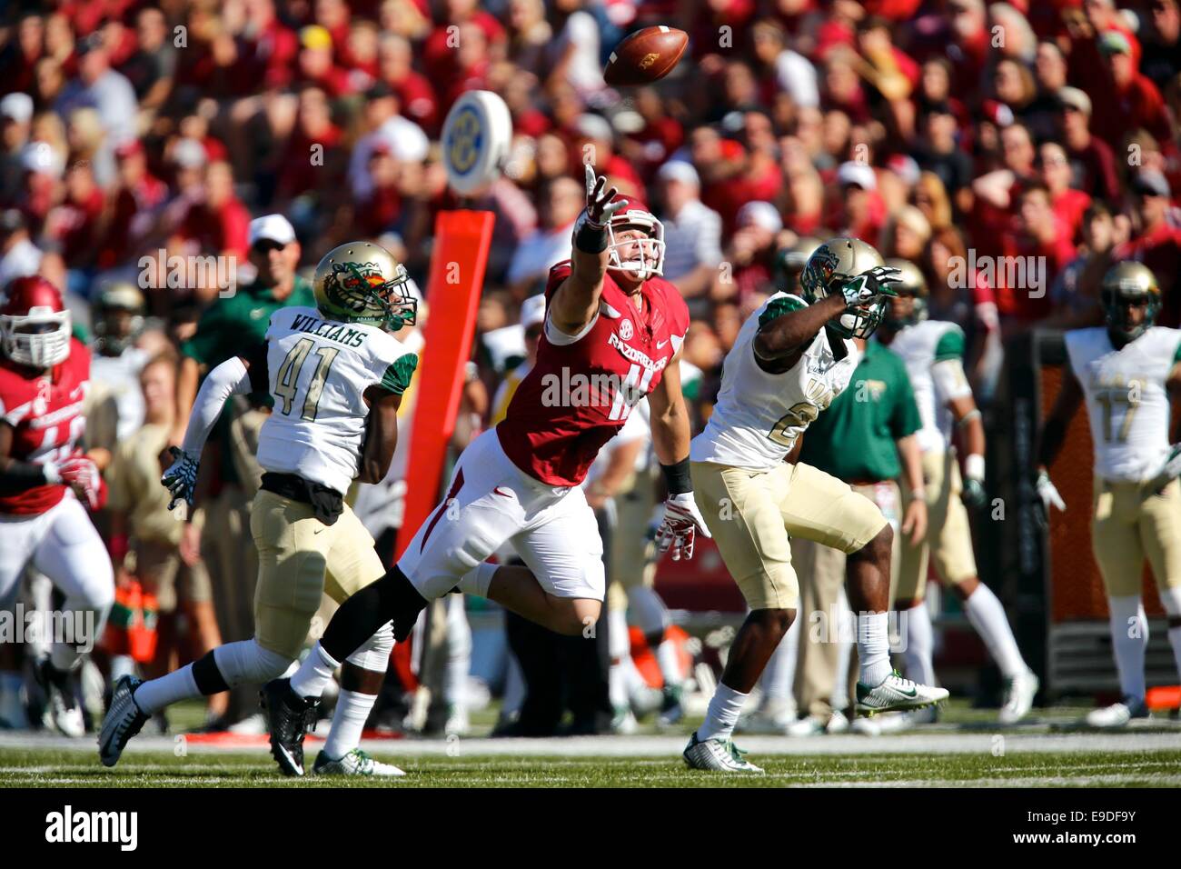 Razorbacks alabama hi-res stock photography and images - Alamy