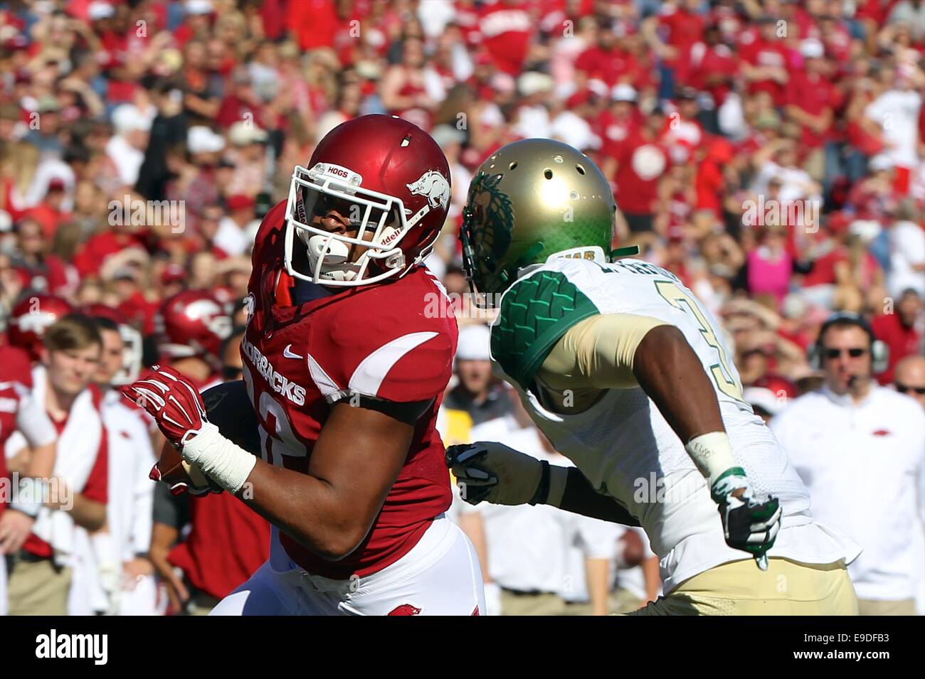 Fayetteville, AR. 25th Oct, 2014. Razorback running back Jonathan ...