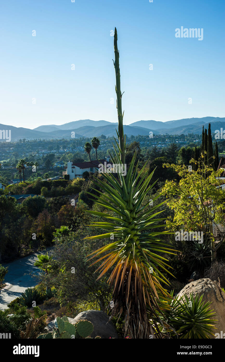 Rancho Bernardo, San Diego, California, USA Stock Photo - Alamy