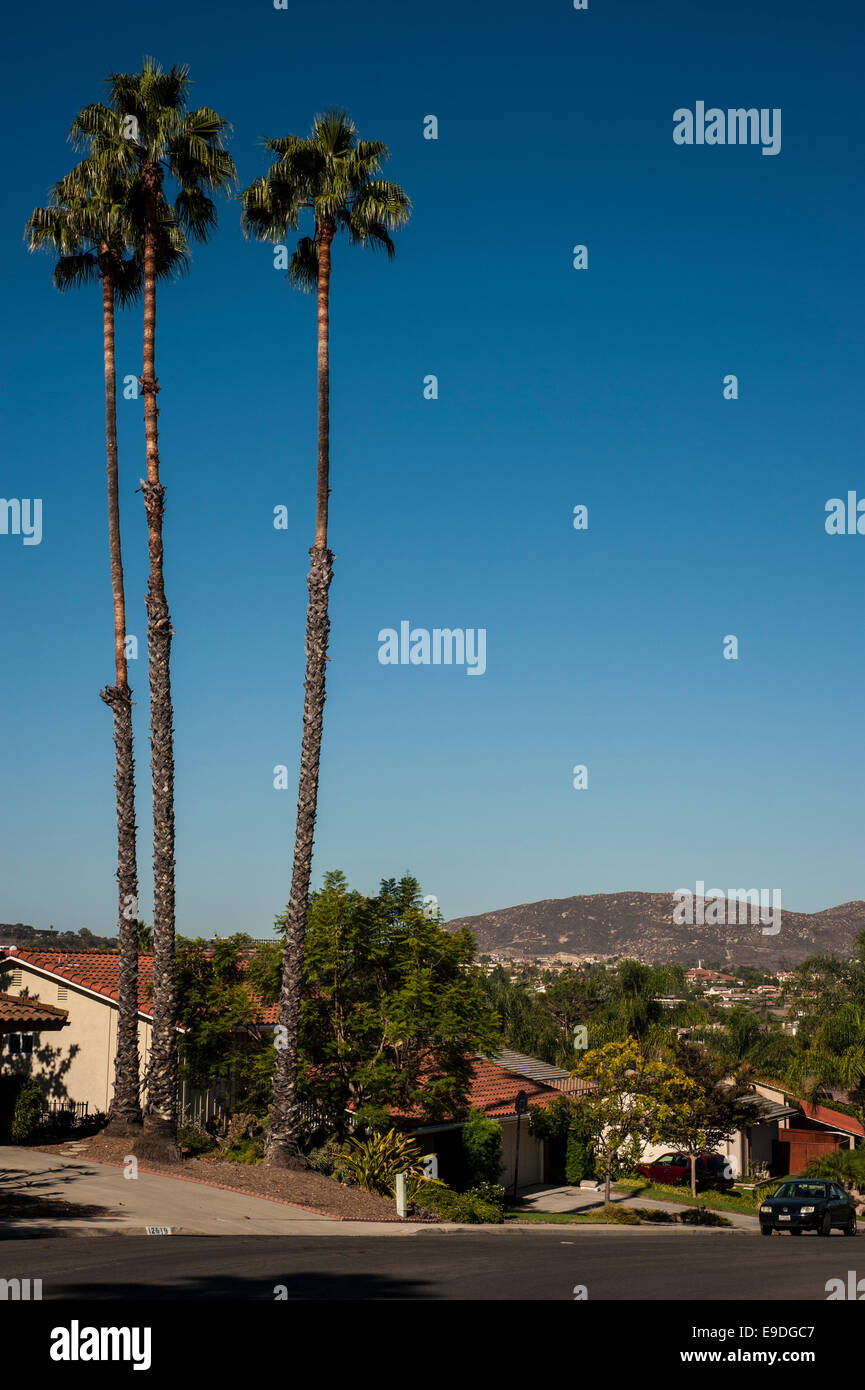 Rancho Bernardo, San Diego, California, USA Stock Photo - Alamy