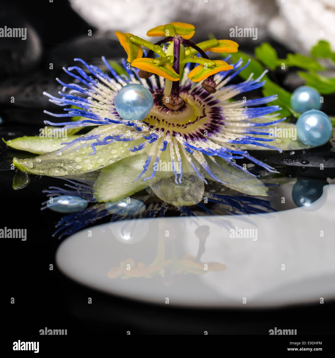 spa concept of passiflora flower, branches, towels, zen basalt stones ...