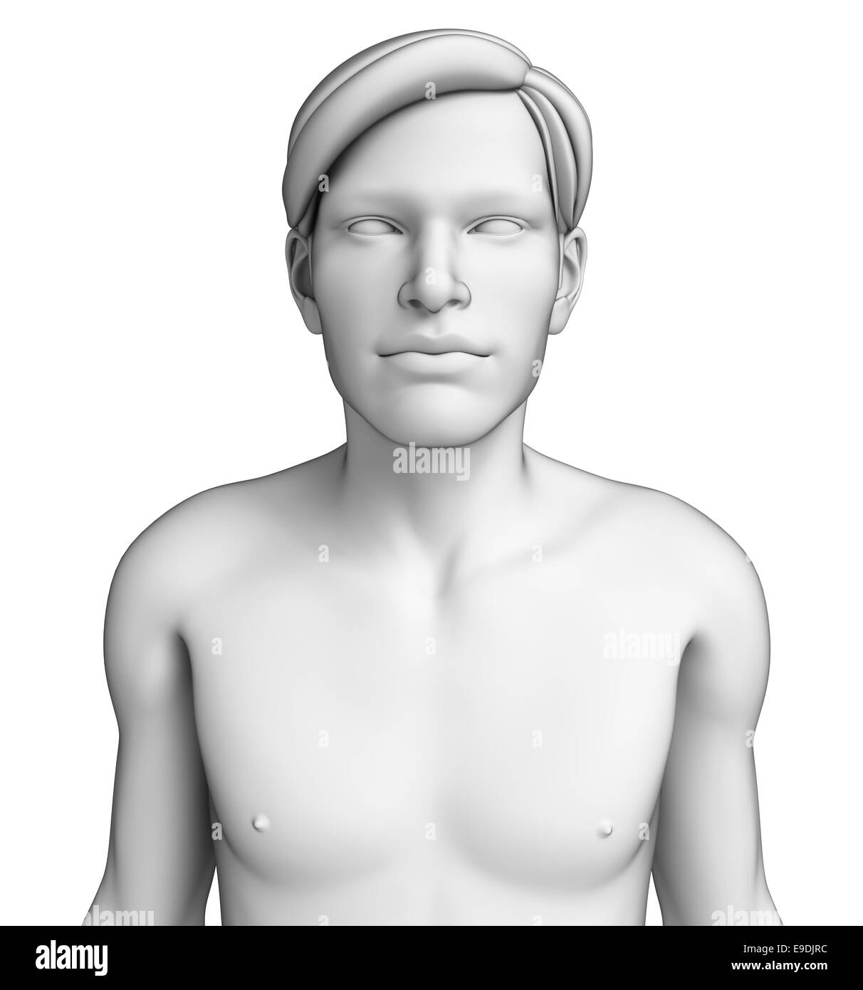 Illustration of male upper body artwork Stock Photo - Alamy