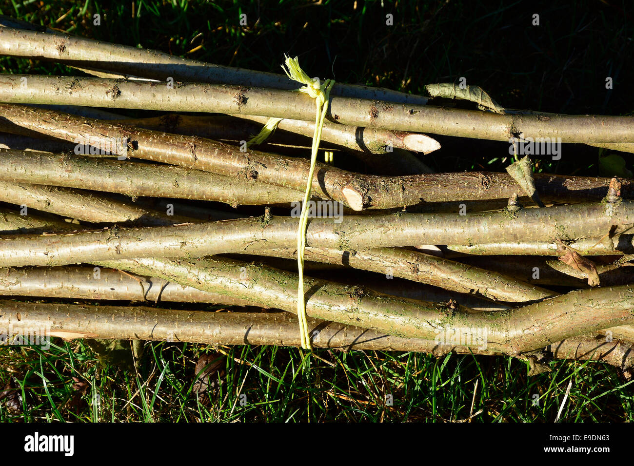 Hazel stakes hi-res stock photography and images - Alamy