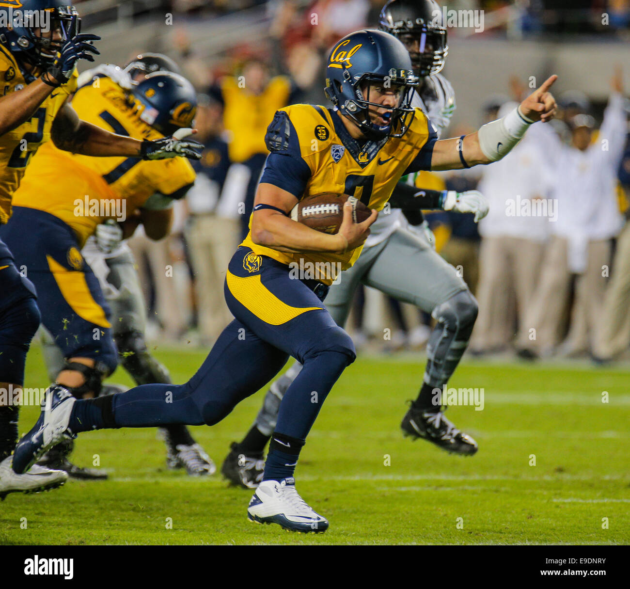 October 24, 2014 Santa Clara, CA : Cal QB # 8 Luke Rubenzer score the ...