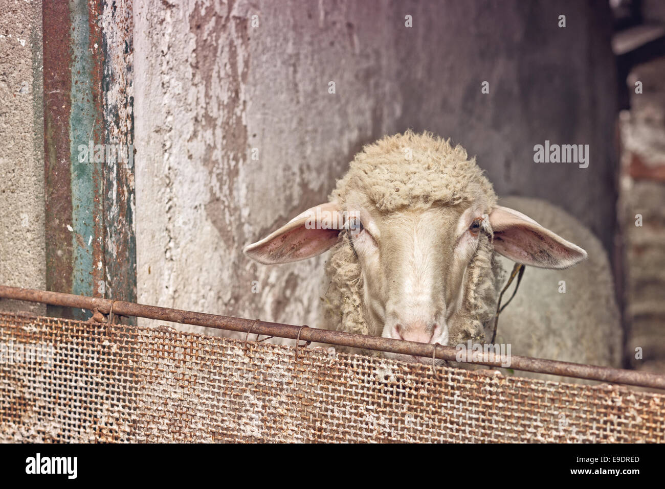 Barn behind fence hi-res stock photography and images - Alamy