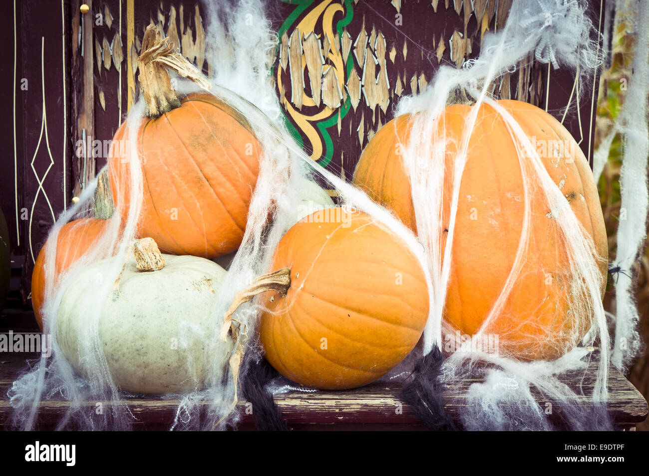 Pumpkin display for Halloween Stock Photo - Alamy