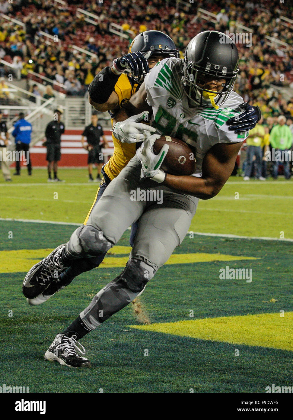 Pharaoh brown oregon hi-res stock photography and images - Alamy