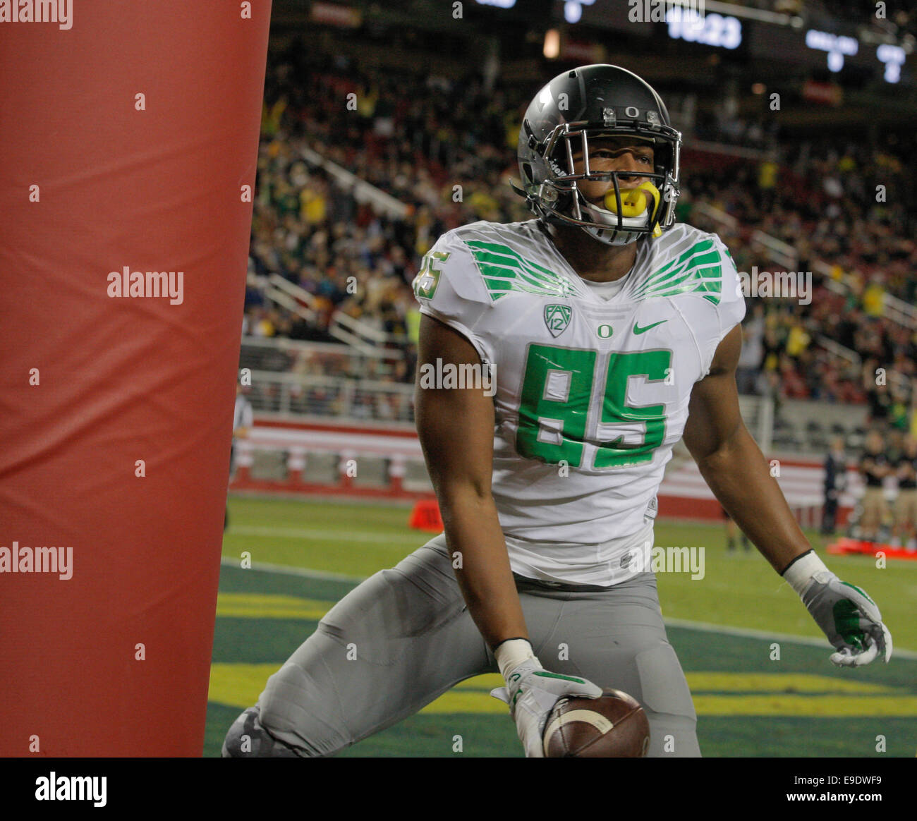 Pharaoh brown oregon hi-res stock photography and images - Alamy