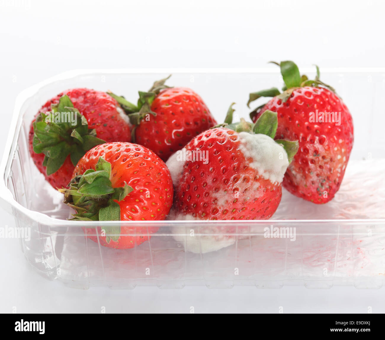 Moldy strawberries hi-res stock photography and images - Alamy