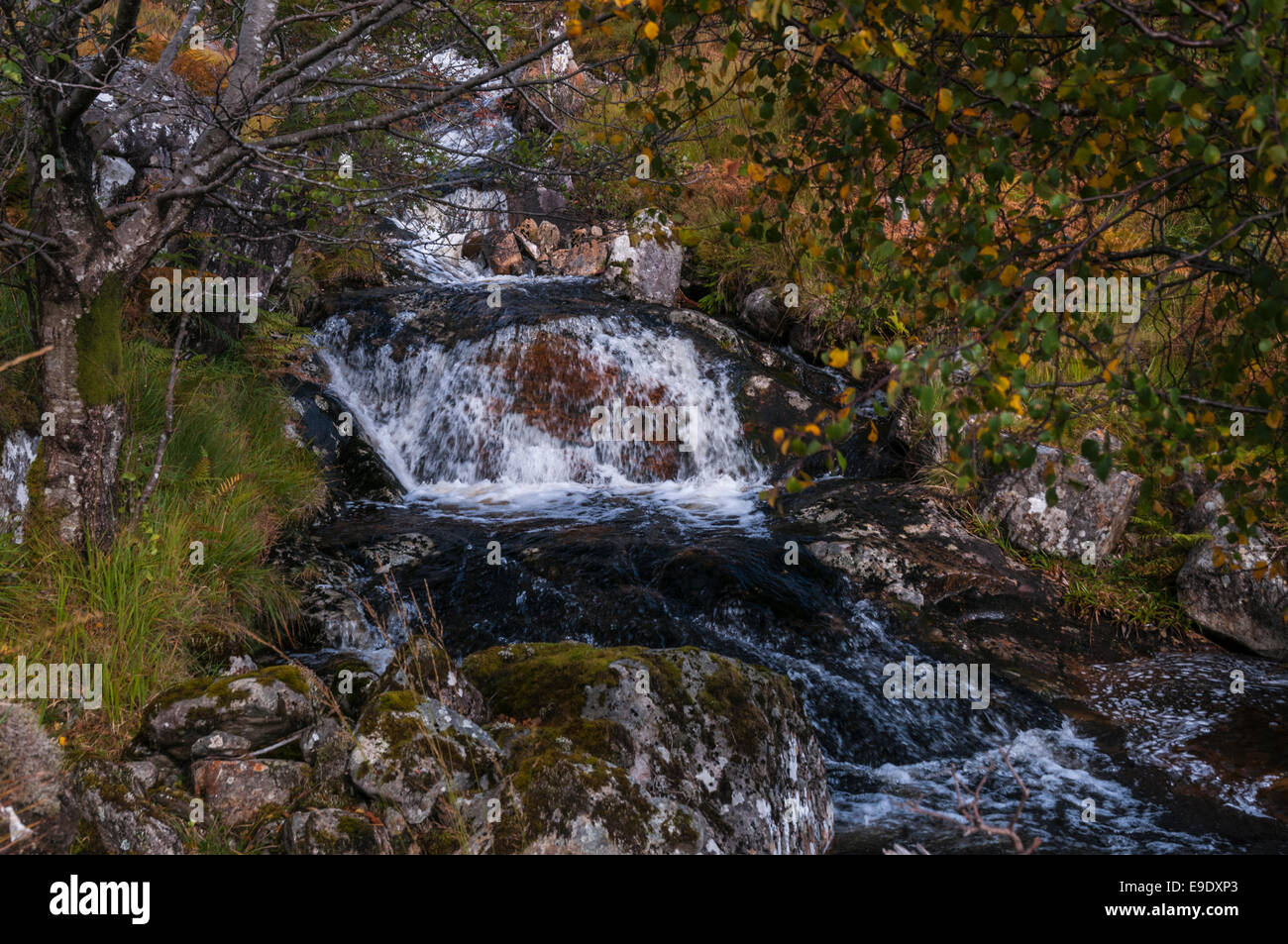 Water flowing over a rock in a Scottish burn Stock Photo - Alamy