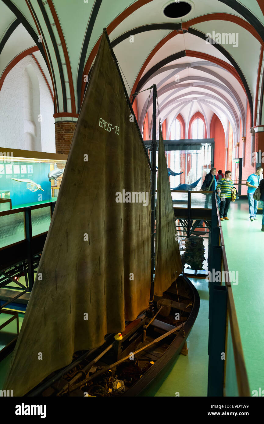 Exhibition at meeresmuseum hi-res stock photography and images - Alamy