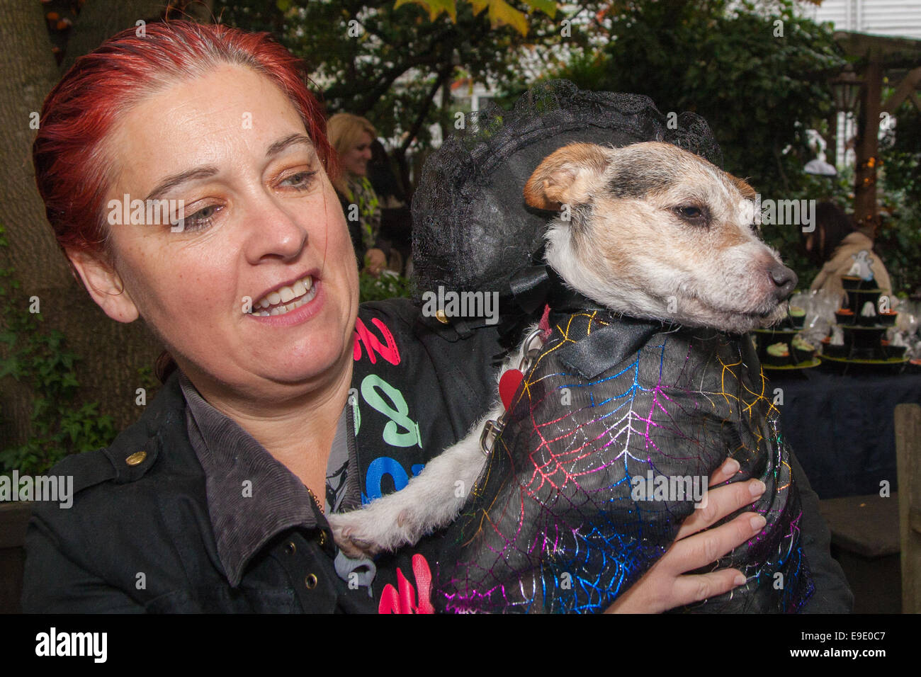 Coy dog hi-res stock photography and images - Alamy