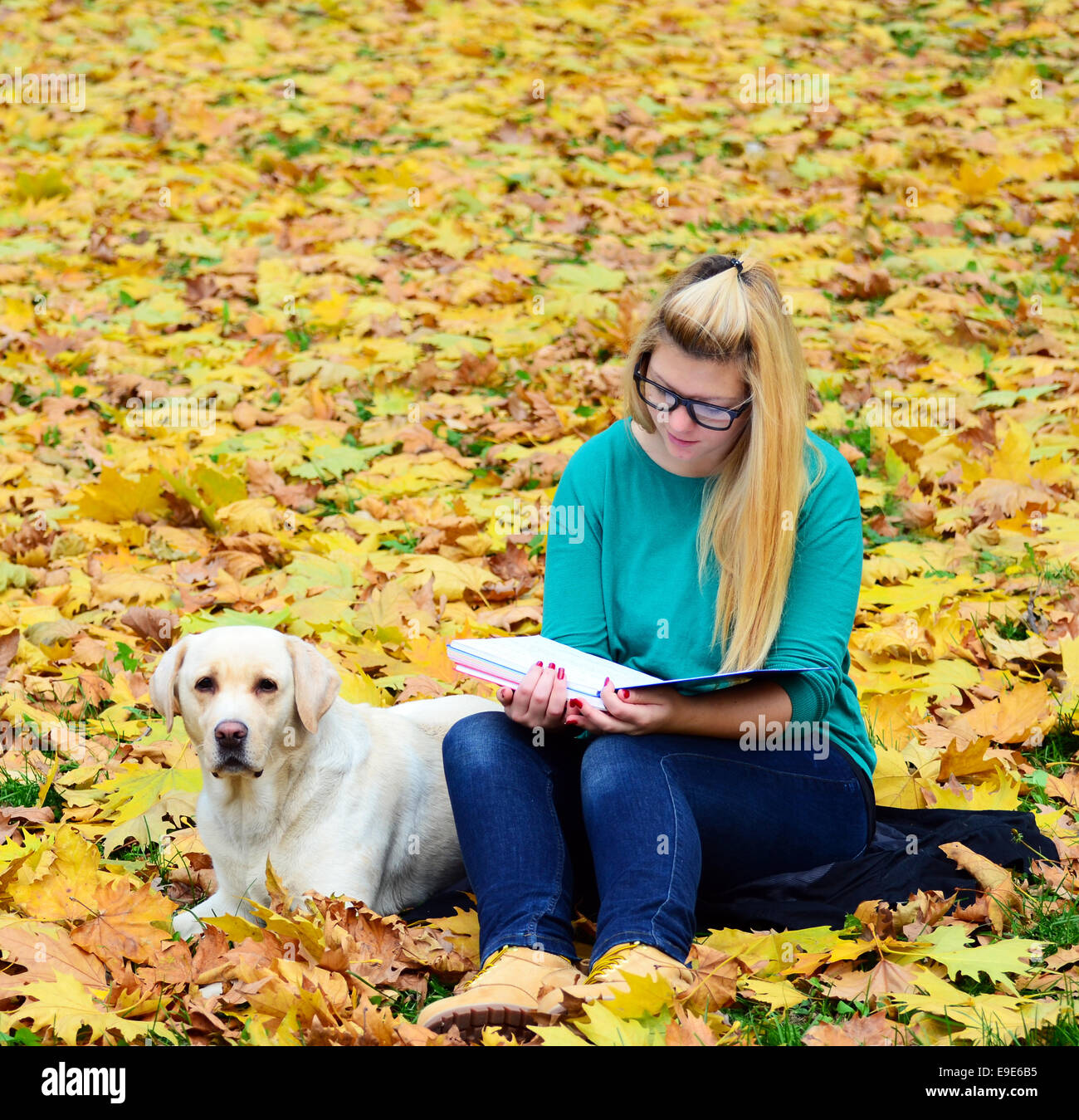 Girl with dog studying in nature Stock Photo - Alamy