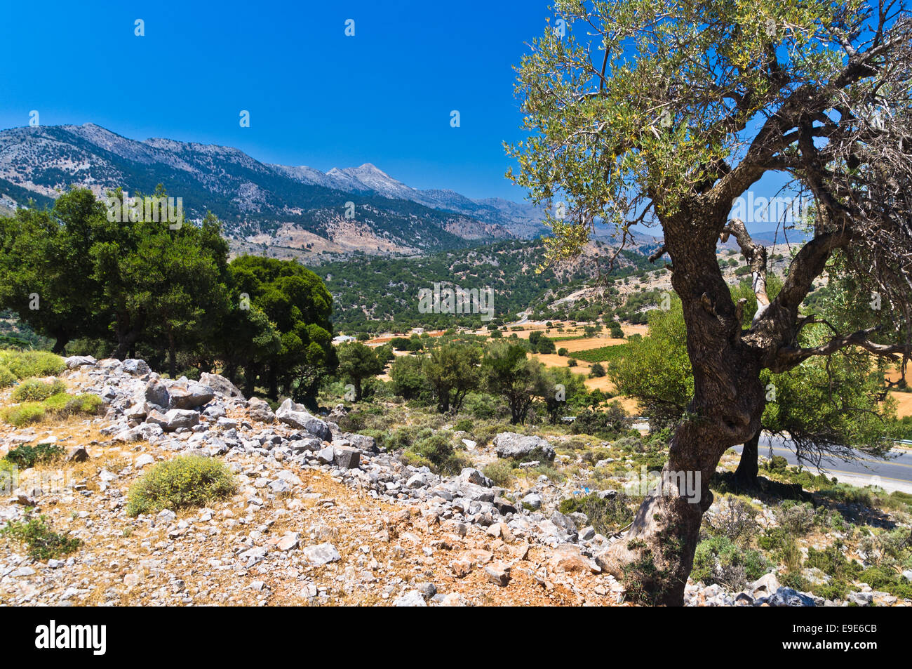 Landscape and mountains at central part of Crete island Stock Photo - Alamy