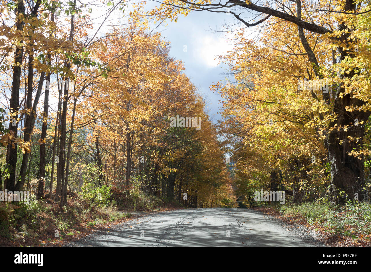 Fall foliage new england hi-res stock photography and images - Alamy