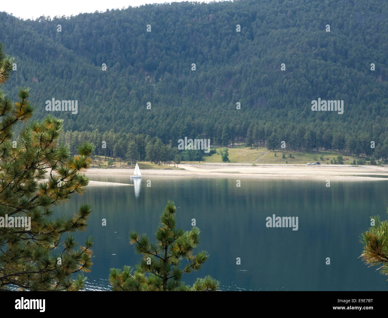 Lake Pactola in South Dakota's Black Hills, USA Stock Photo - Alamy