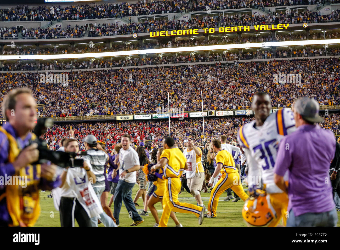 Tigers win hi-res stock photography and images - Alamy