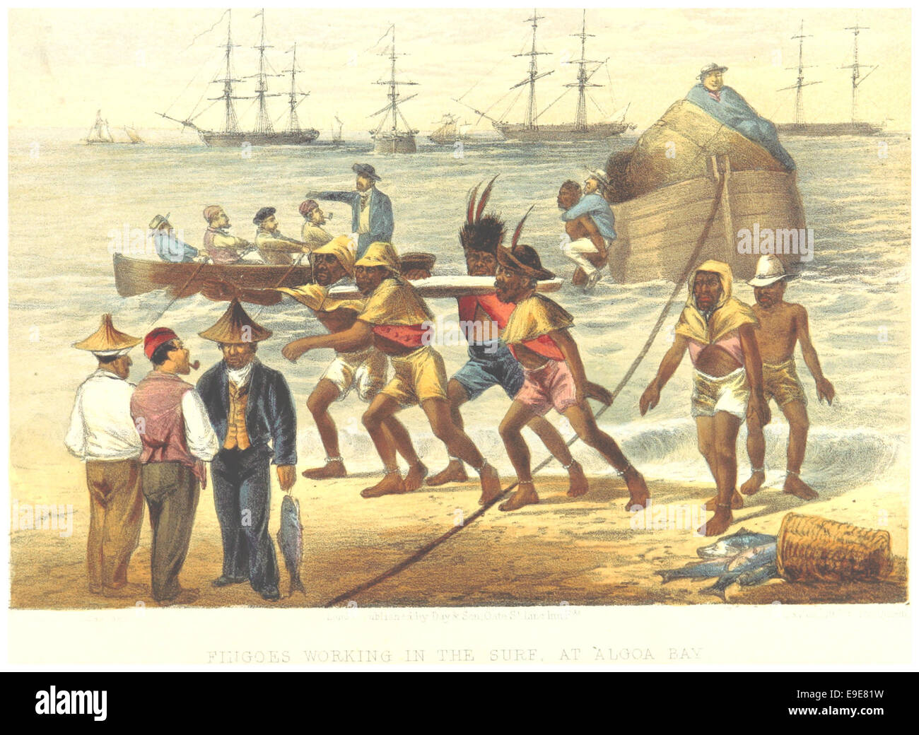 Algoa bay Cut Out Stock Images & Pictures - Alamy