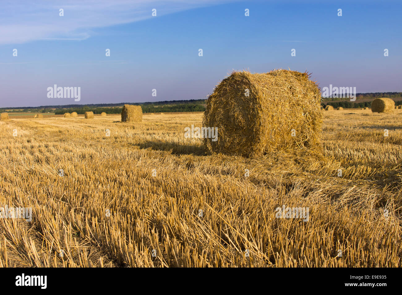 Harvesting hay for the winter hi-res stock photography and images - Alamy