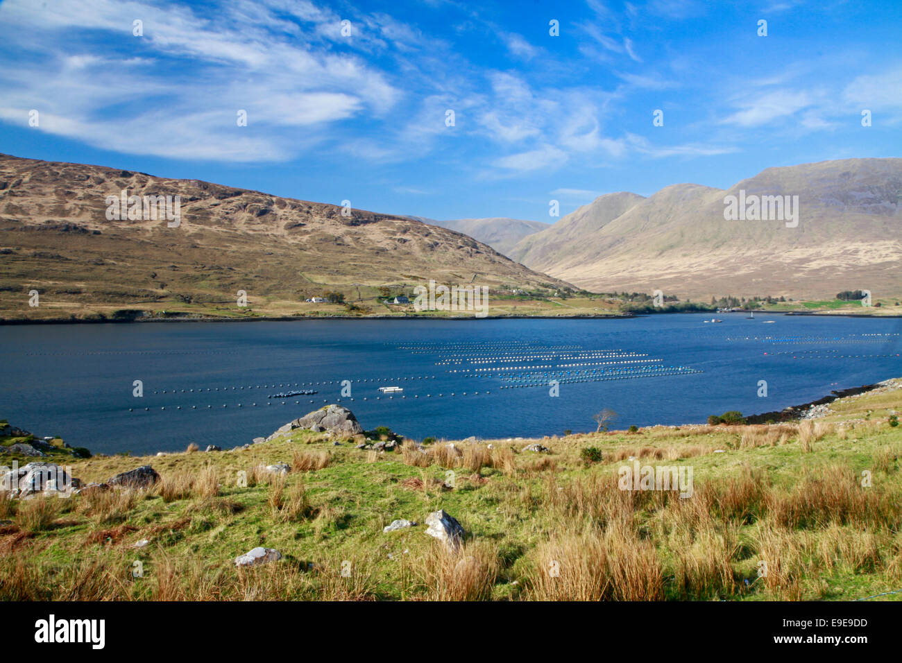 Killary Harbour with the Mweelrea mountain range in the background ...