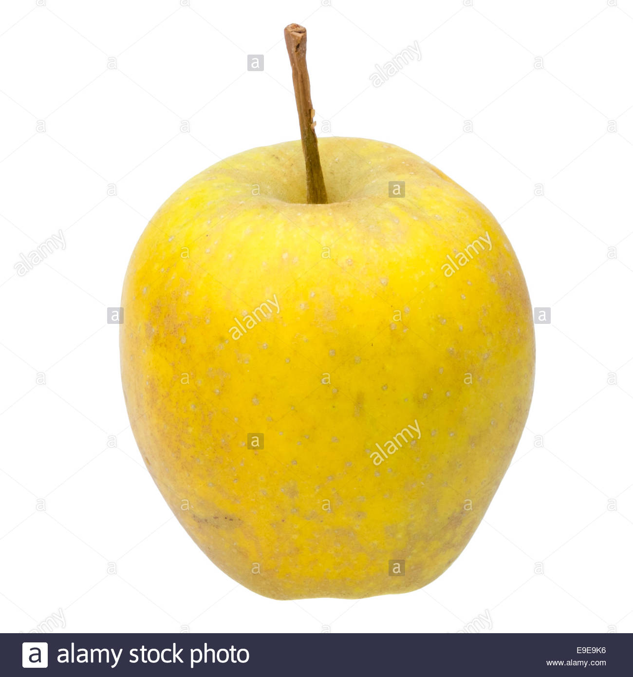 Russet Stock Photos & Russet Stock Images - Alamy