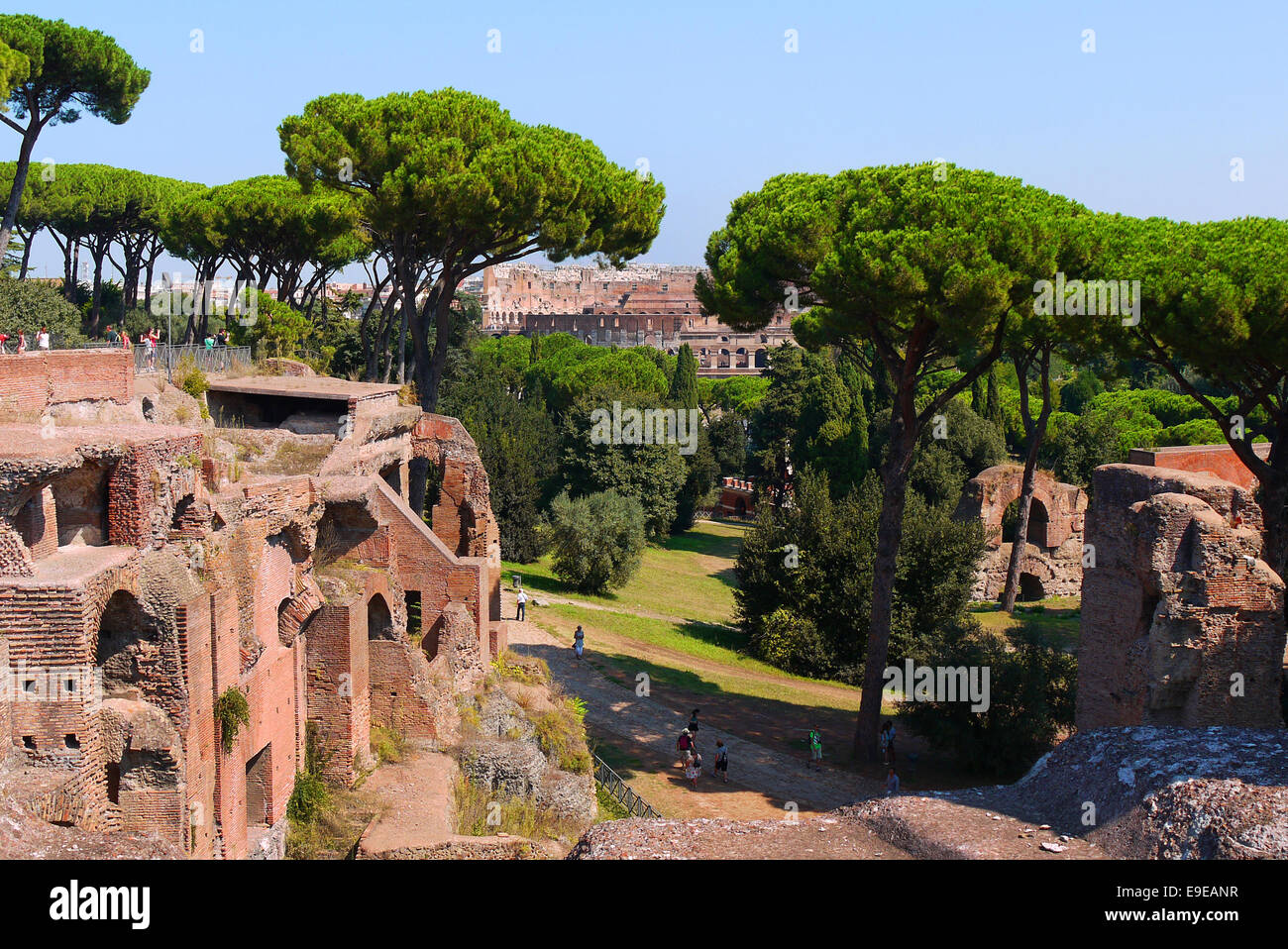 Palantine Hill, Rome, Italy. The Colosseum is in the background Stock ...