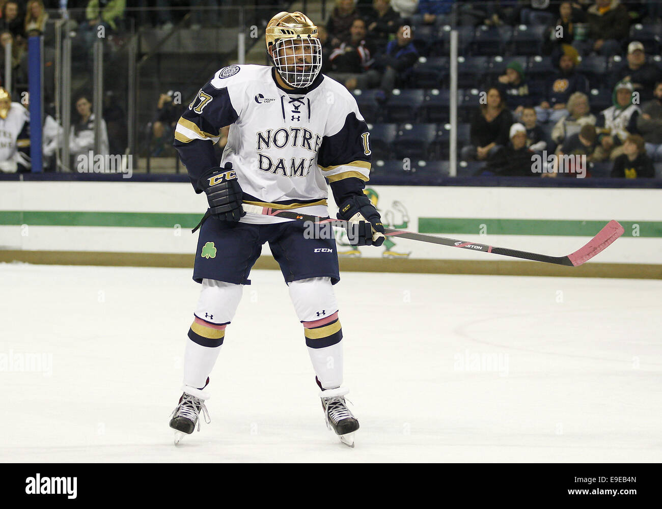 South Bend, Indiana, USA. 25th Oct, 2014. Notre Dame left wing Ali ...