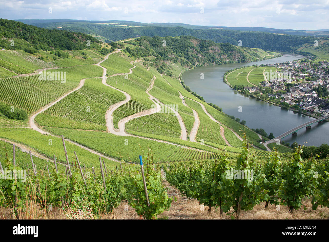 Moselle valley wine village hi-res stock photography and images - Alamy