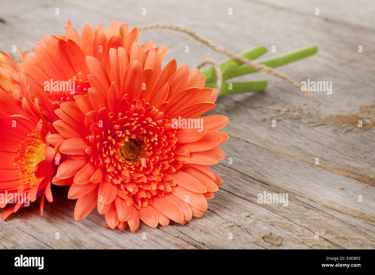 Orange gerbera flowers on wooden background with copy space Stock Photo ...