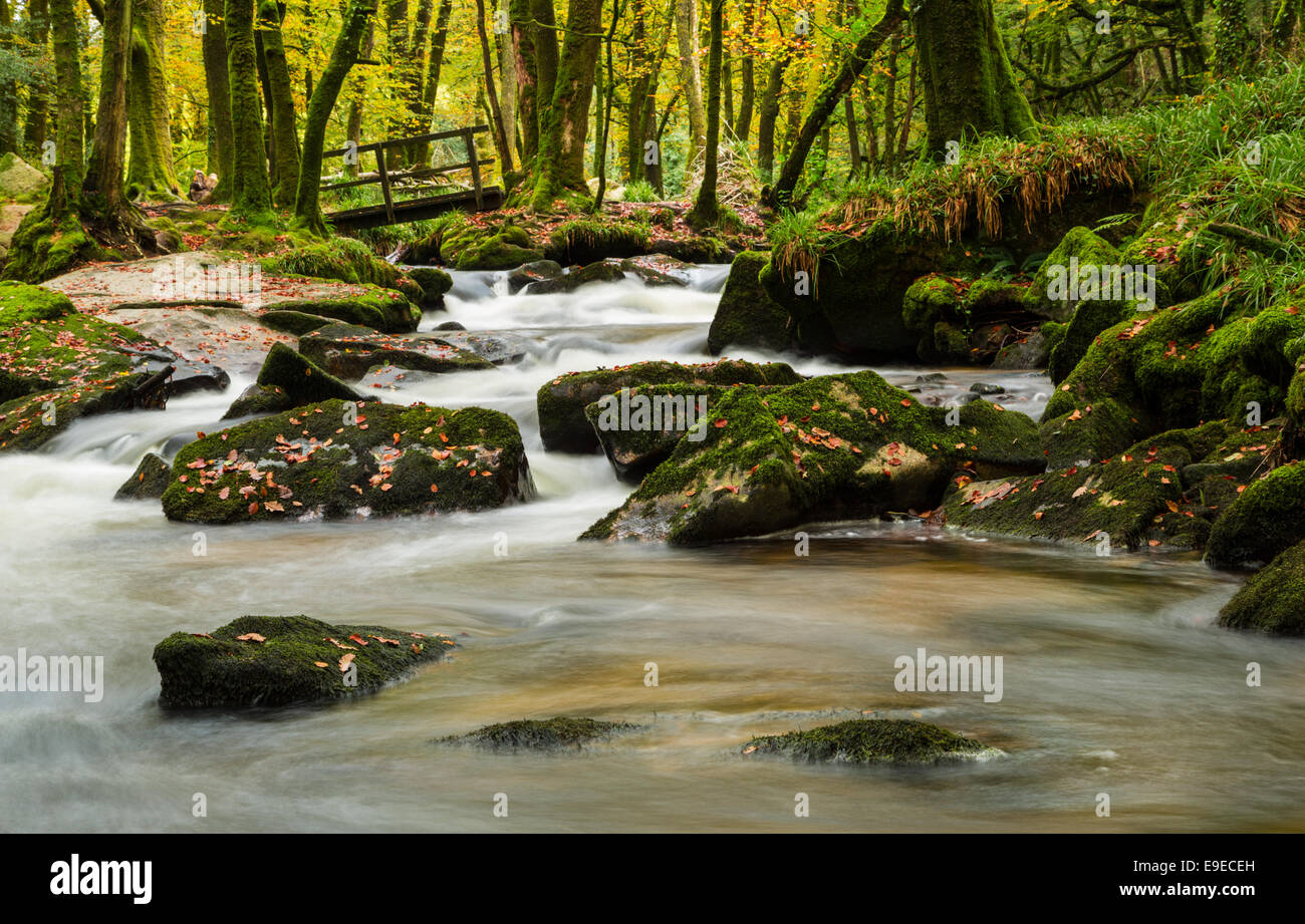 Golitha falls long exposure hi-res stock photography and images - Alamy