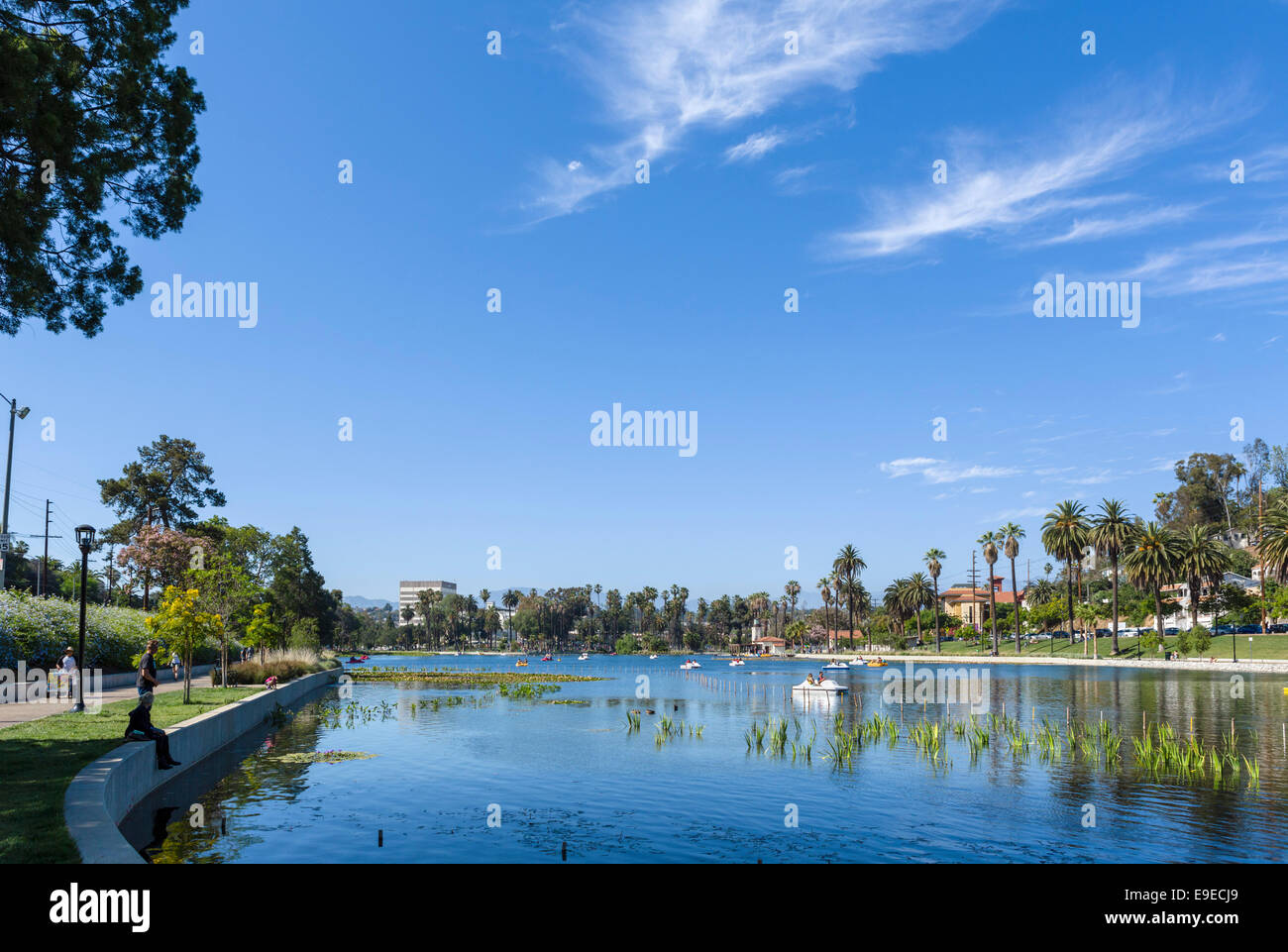 Boating Lake in Echo Park, Los Angeles, California, USA Stock Photo - Alamy