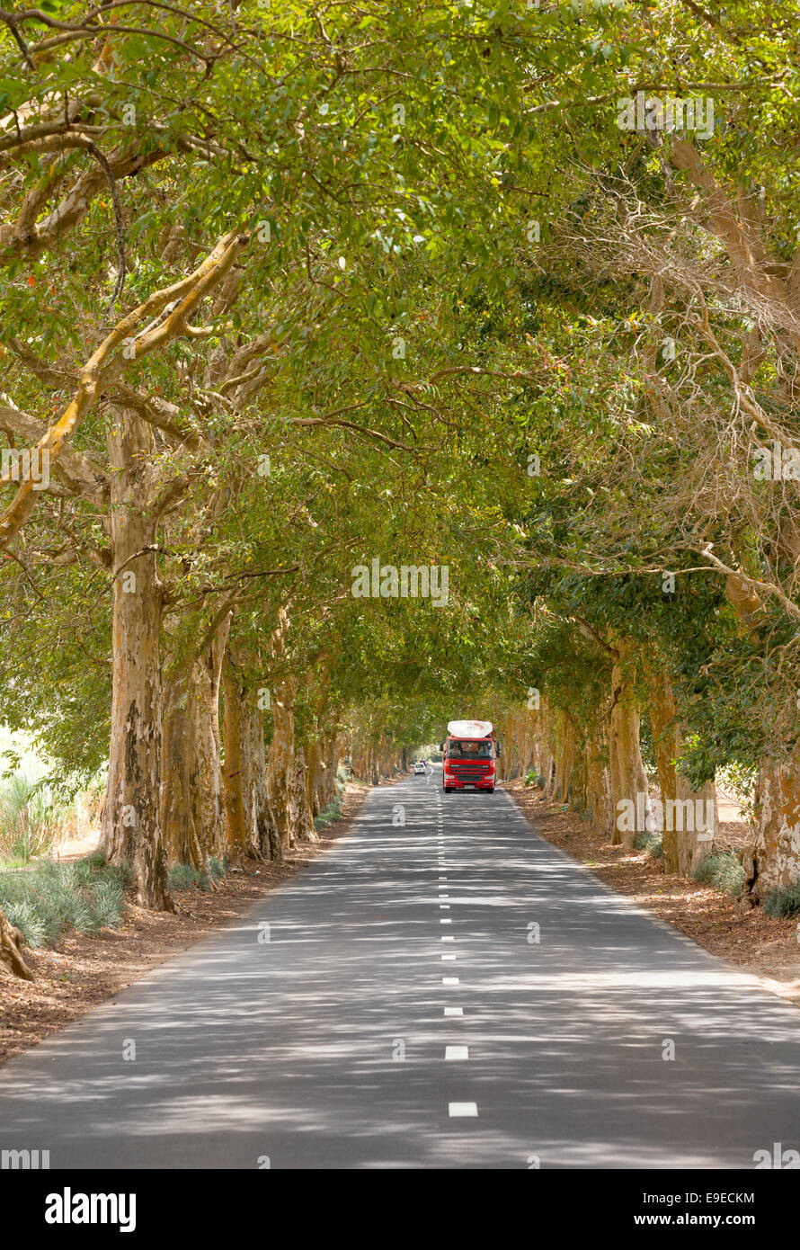 Mauritius roads hi-res stock photography and images - Alamy