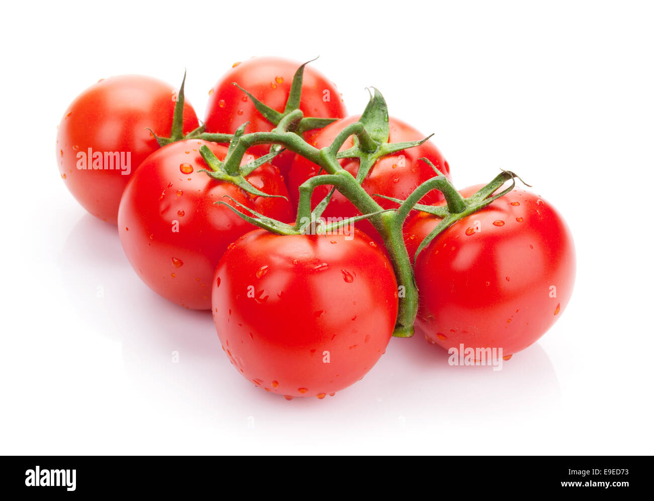 Fresh ripe clean tomatoes with water drops. Isolated on white ...