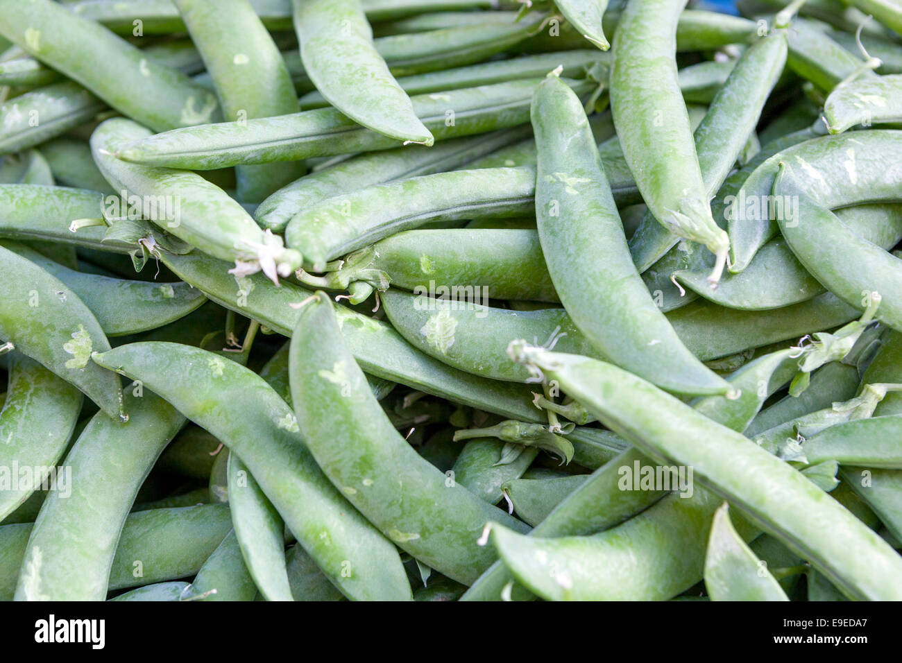 Fresh from hi-res stock photography and images - Alamy