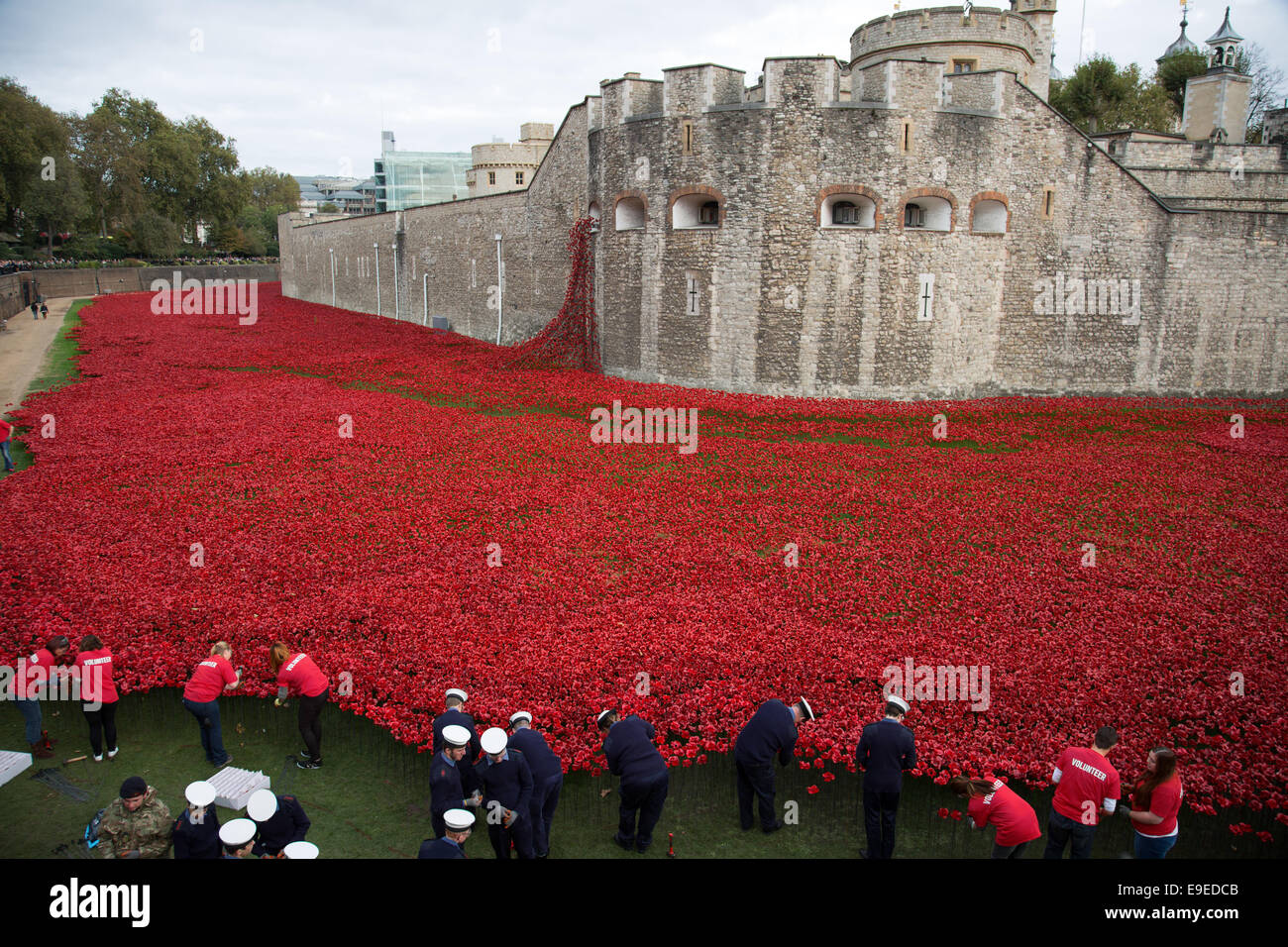 Tower of London Poppies as a memorial to the soldiers who died in the ...