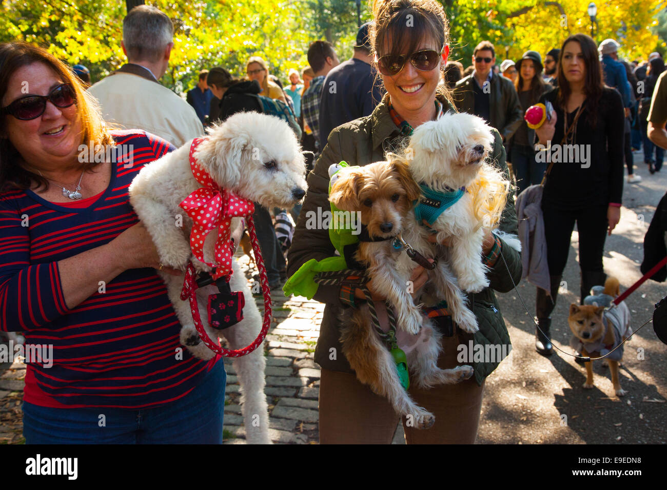 New York, USA. 25th Oct, 2014. Scenes from The 24th Annual Tompkins ...