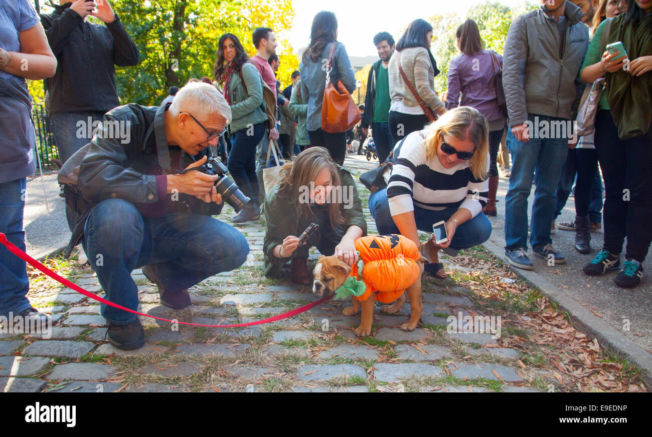 New York, USA. 25th Oct, 2014. Scenes from The 24th Annual Tompkins ...