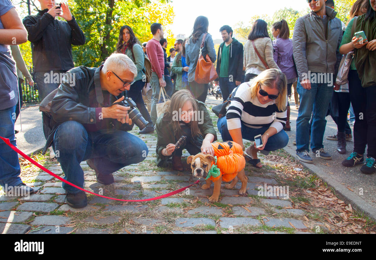 New York, USA. 25th Oct, 2014. Scenes from The 24th Annual Tompkins ...